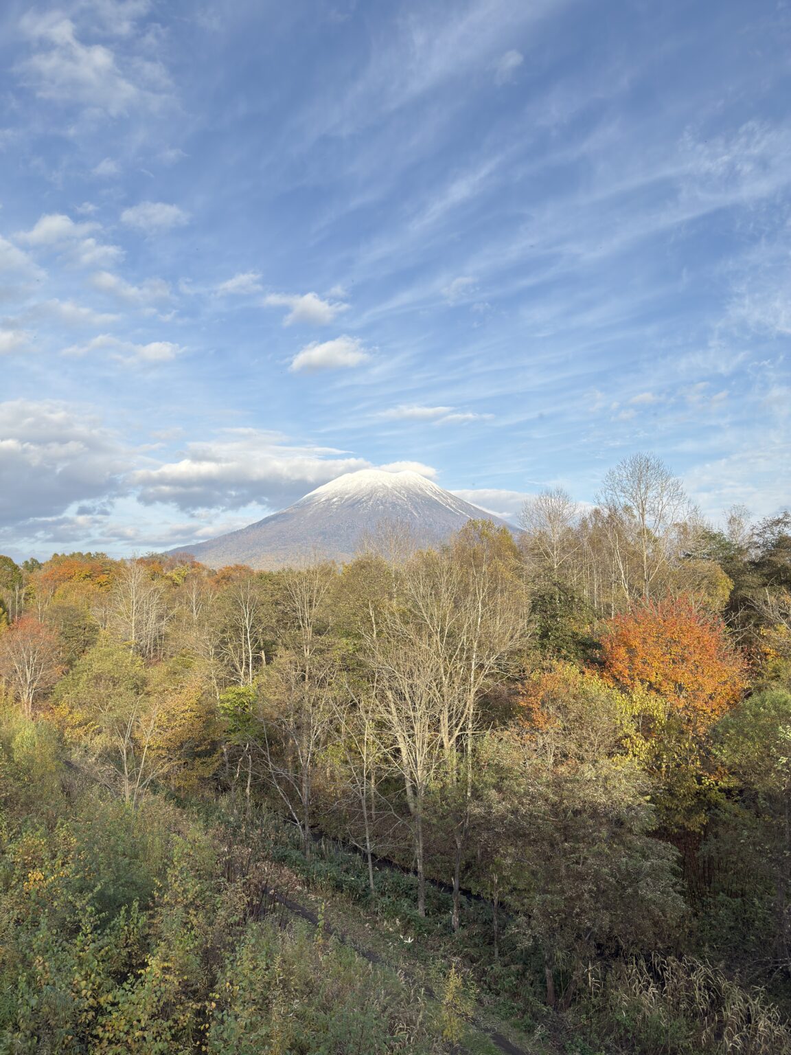 Mt. Yotei, Niseko | Stunning Autumn Foliage & First Snow